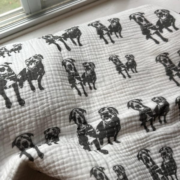 English Bulldog Baby Leggings, Organic Cotton Baby Clothes, Newborn ...