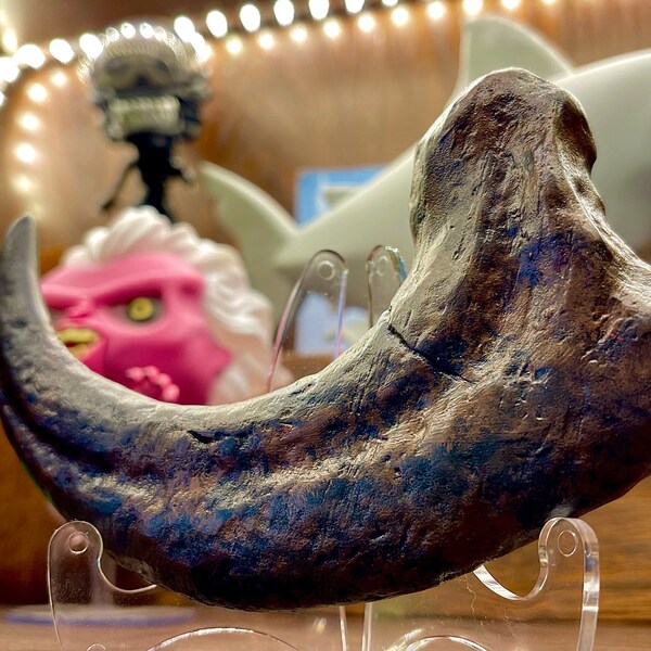 Velociraptor Claw, Raptor Claw Fossil Replica, Utah Raptor, Dinosaur ...
