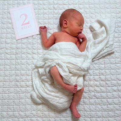 Watercolor Crest Baby Shower Welcome Sign, Girl Carriage, Pink Bow ...