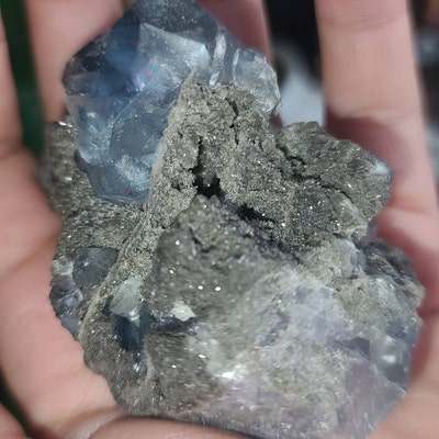 Rare Botryoidal Petrified Wood Chalcedony Agate Opal 200 Million Year ...