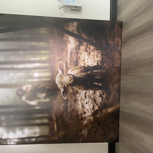 Jesus the Defender Digital Download - Etsy