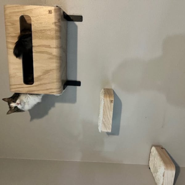 Wall Mounted Cat Bed, Hidden Oak Plywood Cat House With Faux Fur - Etsy