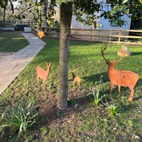 Tree of Life Wall Art Garden Circle Tree of Life Rustic - Etsy UK