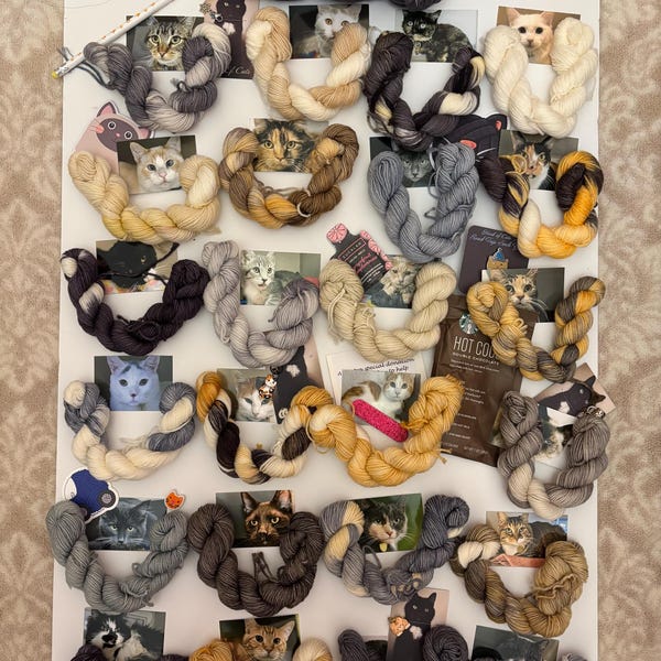 Toe Beans, Sock Club, 85/15 Superwash Merino/nylon Blend, 480 Meters ...