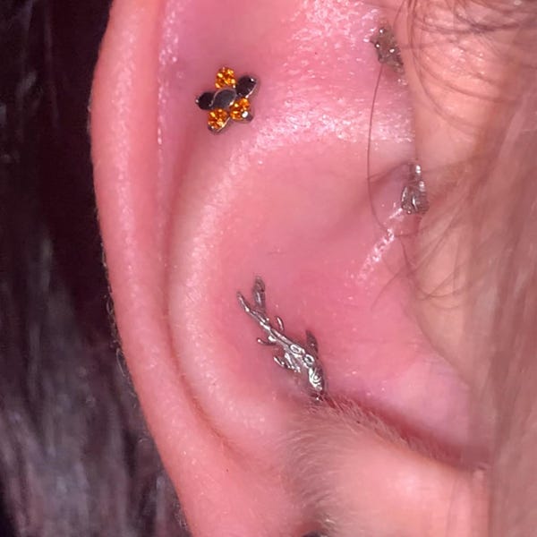 Double Smooth Split Conch Hoop, G23 Titanium, Double Conch Earring ...