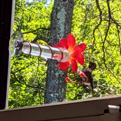 HANDCRAFTED Copper Window Mount Hummingbird Nectar Feeder Realistic Plumeria Flower - Etsy