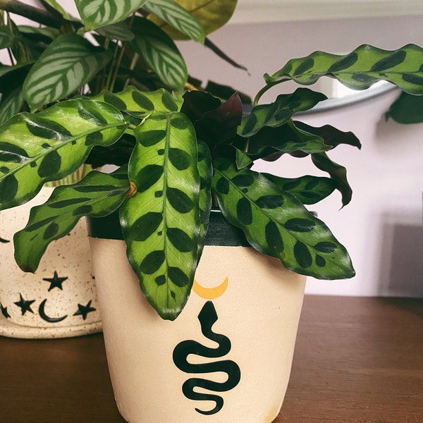 Ceramic Moon Phase Plant Pot, 4 SIZES - Etsy