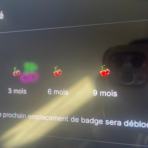 30x Fire Bit Badges/ Complete Twitch Bit Badges Set/ Twitch Tier Badges ...