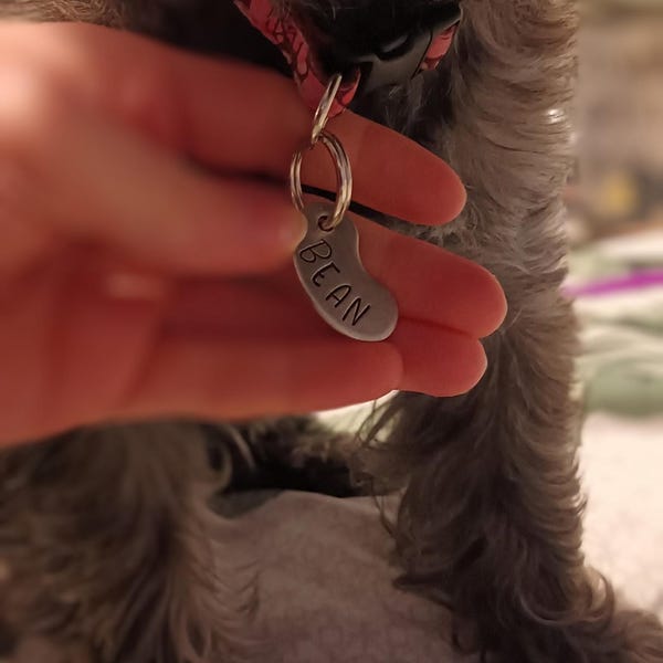 Mini Dog Tag for Dogs, the Bean, Dog Tag, Kidney Bean, Personalized ...