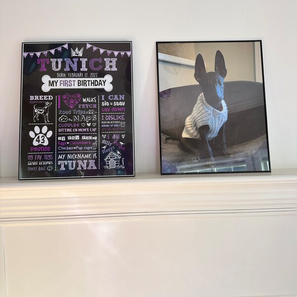 Pet 1st Birthday Chalkboard, Dog Birthday Chalkboard Sign, Dog Party ...