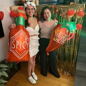 Rockin' Robin Dinner Plates 8 Pk. - Etsy