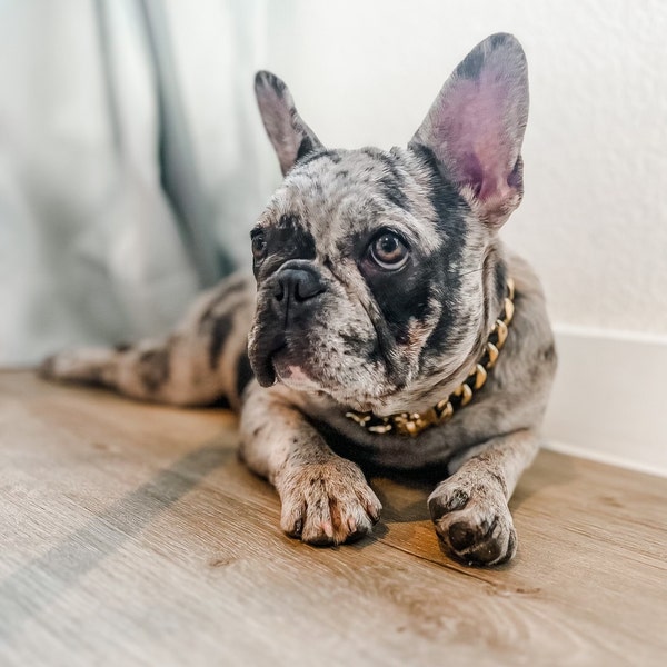 15mm Wide Diamond Cuban Link Gold Dog Chain Collar for French Bulldog ...