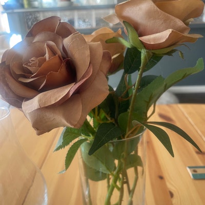 10pcs Artificial Rose High Quality Brown Rose, 45cm Artificial Single ...