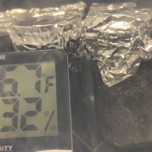 Elm Oyster Mushroom Liquid Culture Syringe Spore Free Live | Etsy