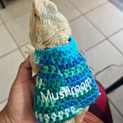 Teal White and Orange Tortoise Diaper - Etsy