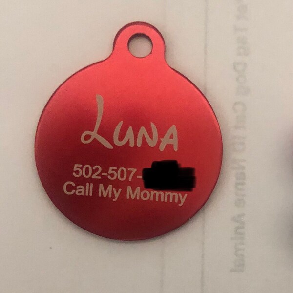 Custom Engraved CIRCLE Pet Tag Dog Cat ID Name Animal DISNEY - 10 ...