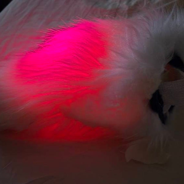 Nature Leaf Clips - Etsy