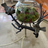 Mini Palm Trees for Terrariums, Fairy Gardens, Miniature Tropical Decor ...