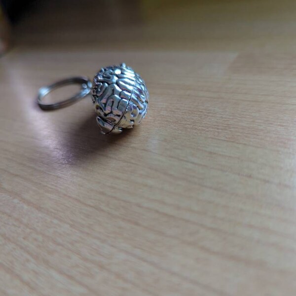 Brain Keyring, Brain Keychain, Science Geek, Science Gifts, Biology ...