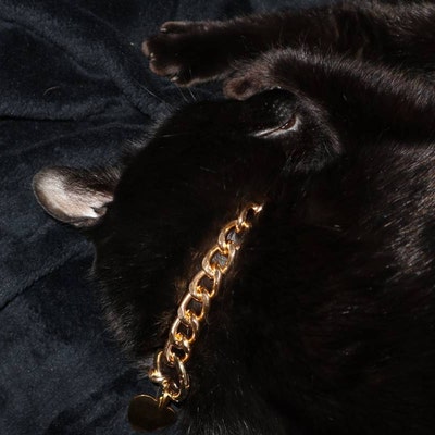 Chain Cat Collar, Medium Cuban Link Cat Necklace, Lightweight Cat ...
