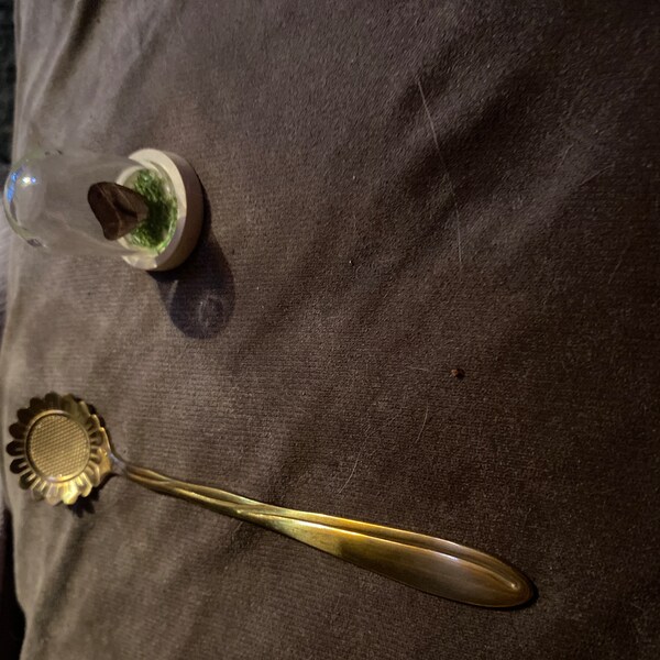 Infant T-rex Fossil Skull Model 3D Printed - Etsy