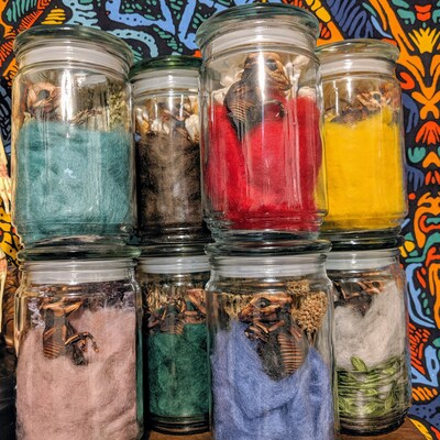 Four Mummified/preserved Fetal Piglets Displayed in Riker Box - Etsy