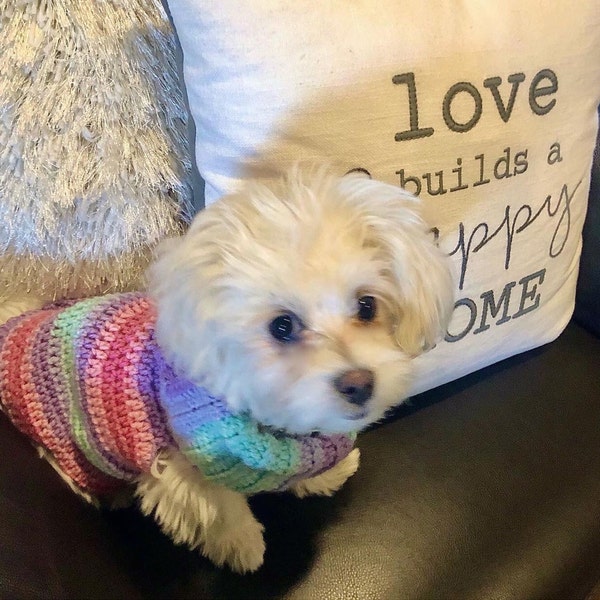 Chunky Dog Sweater Easy Crochet Pattern. Size Small. Beginner. Instant ...