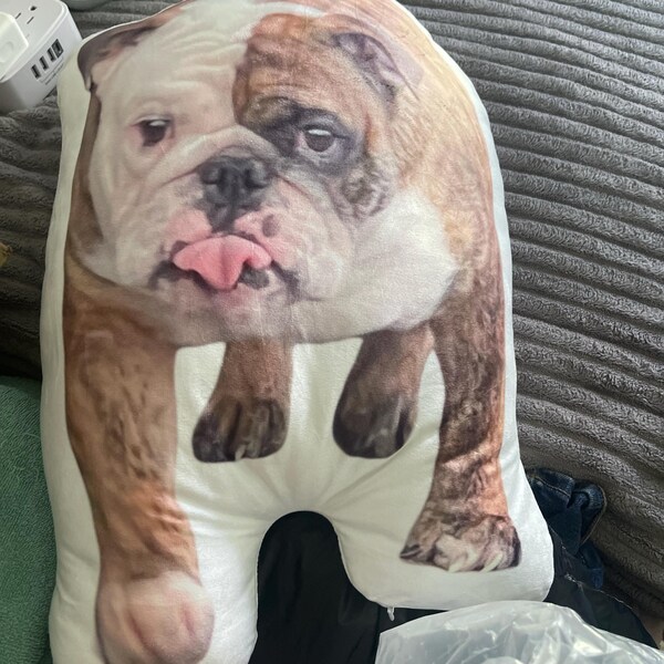 Custom 3D Pet Pillow: Personalized Photo Memorial Gift - Etsy