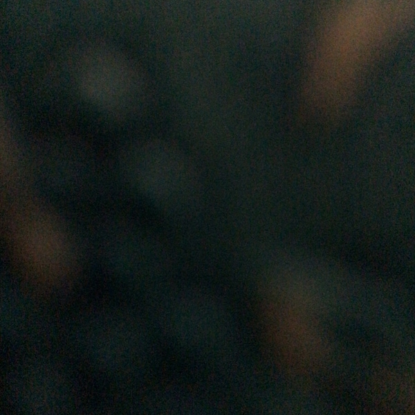 Downloadable Assorted Leaves Template/pdf Printable Download/diy Paper ...