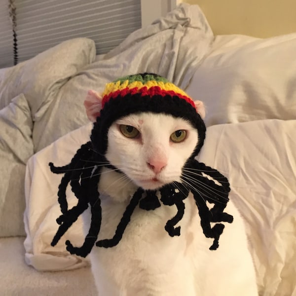Rasta Hat for Cats - Etsy