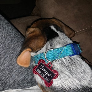 Pet ID Tag-new Large Pet Tag, 2x 1.25bone Tag. Personalized Dog, Pet ID ...
