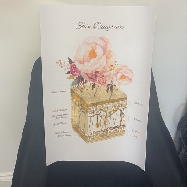 Skin Anatomy Art, Dermatologist Gift, Dermatology Decor, Dermatologist ...