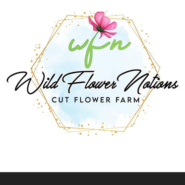 Daisycustomshop - Etsy