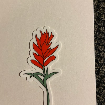 Montana Bitterroot Flower State Sticker Decal Vinyl RV Decal - Etsy