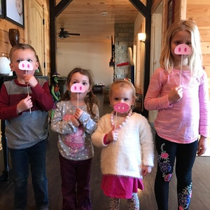 Pig Snout Photo Booth Prop Pig Nose on a Stick Birthdays, Weddings ...