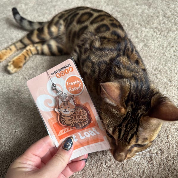 Cream Siamese Cat Loaf Sticker; Flamepoint; Waterproof Dishwasher Safe ...