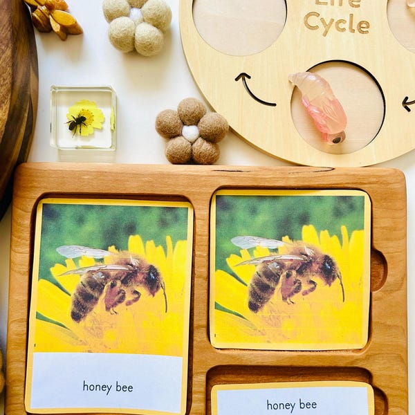 Sandcastle Cherry Wood Tinker Tray Board Sorting Homeschool Lesson Play ...