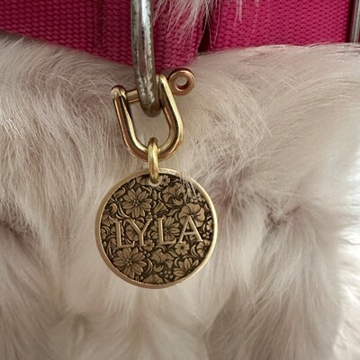 Brass Dog Tag, Personalized Brass Pet ID Tag, Custom Cat Tag, Unique ...