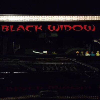 Pimpin' Ain't Easy Vertical Windshield Vinyl Side Decal Sticker Truck ...