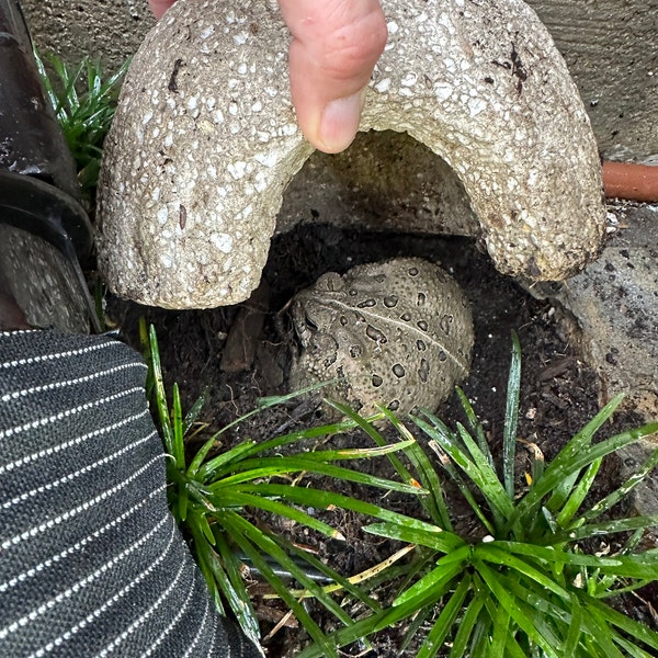 Hypertufa Toad House, Toad Abode, Frog Home, Handmade Outdoor Decor ...