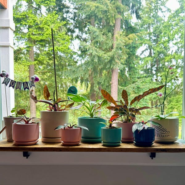 Window Sill Shelf Extension, Window Shelves, Windowsill Extender ...