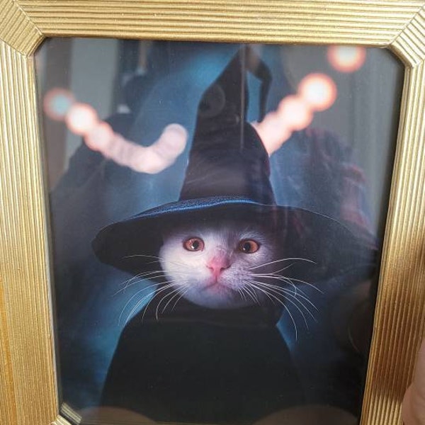 Custom Witch Pet Portrait From Photo Perfect Gothic Gift Dark Pet Gift ...
