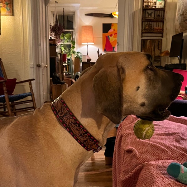 Ready to Ship Floral Hand Tooled Dog Collar With Red Buckstitch 15-18 ...