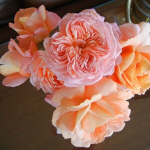 Simplicity Sewing Pattern S9260 Misses' & Women's - Etsy