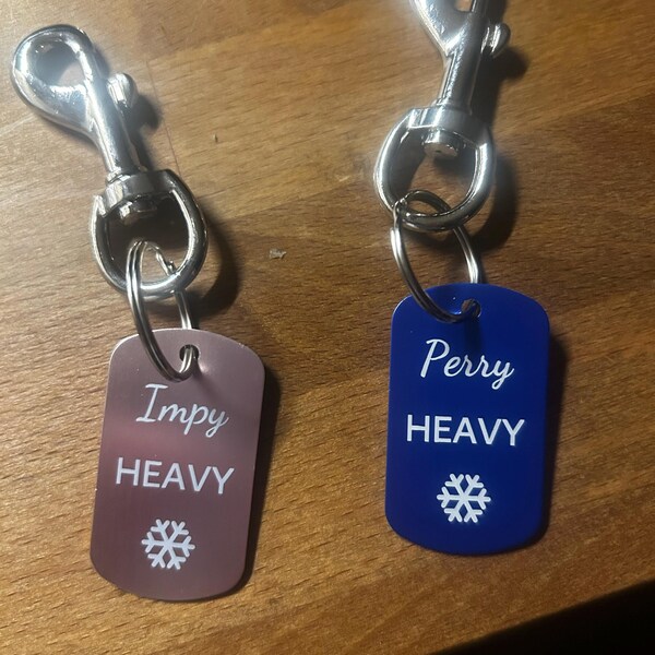 Personalized Horse Blanket Tag, Horse Rug Tag, Tack Tag, Horse Name Tag ...