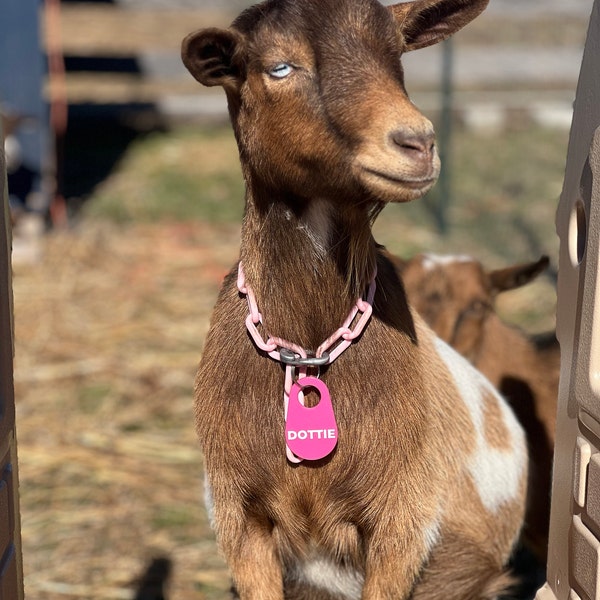 Custom Goat and Sheep Collar Tags - Etsy