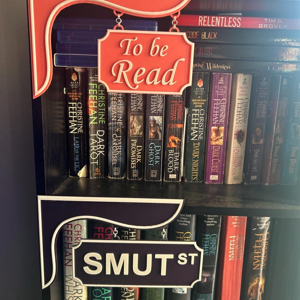 Hanging Bookshelf Sign Bookish Decor No Adhesive Smut ST Bookshelf ...