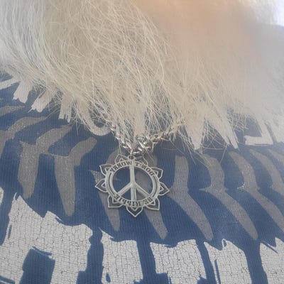 Atomic Whirl Necklace, Bohr Atom Nuclear Atheist Symbol Charm Pendant ...