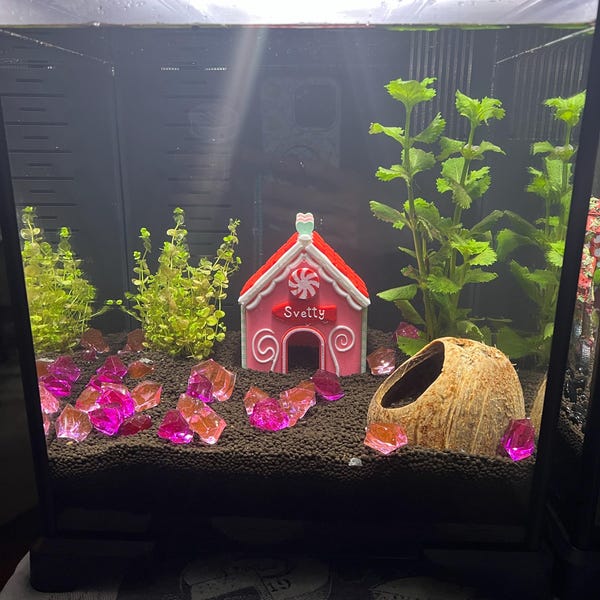 Acorn House Aquarium Ornament, Customizable Fish Tank Decor, Whimsical ...