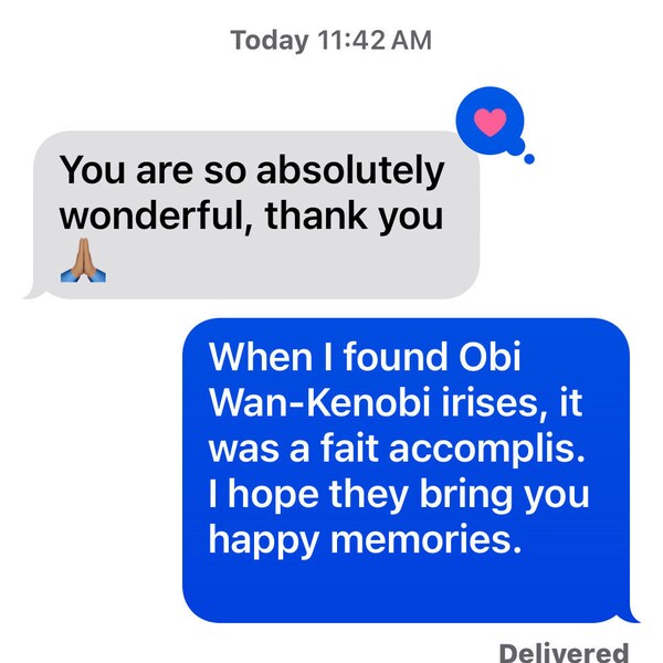 Iris 'harvest of Memories' Yellow Tall Bearded Reblooming Iris - Etsy